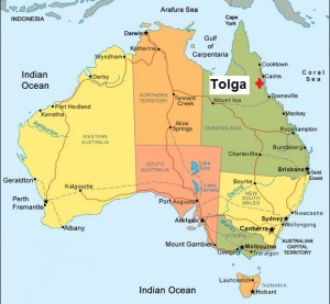 Tolga | Australian Abattoirs